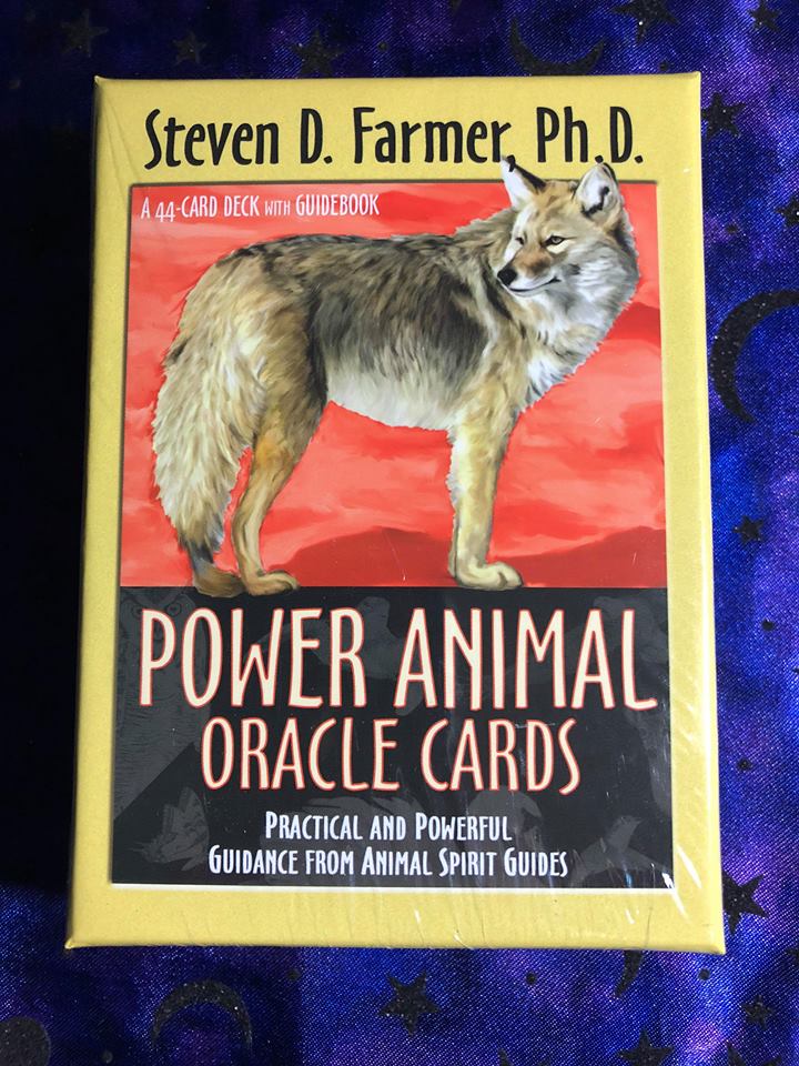 Animals – Elemental Energies with Chris Ann