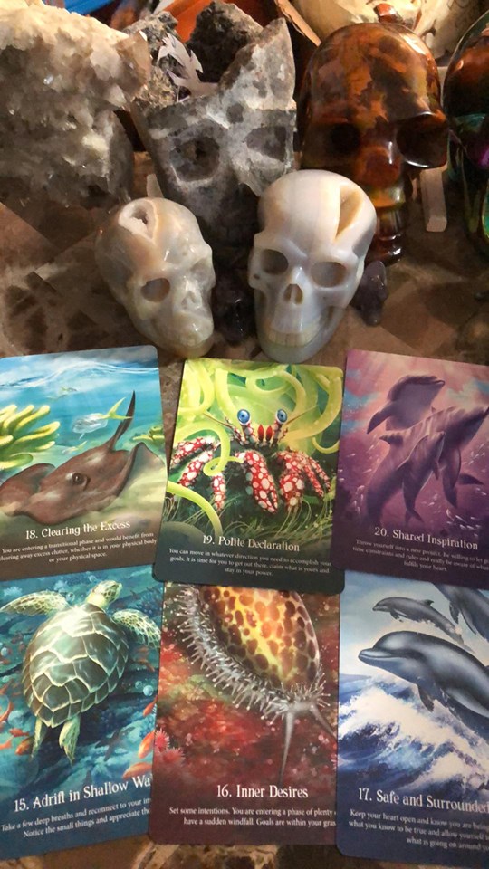 Whispers of the Ocean Oracle Cards – Elemental Energies with Chris Ann
